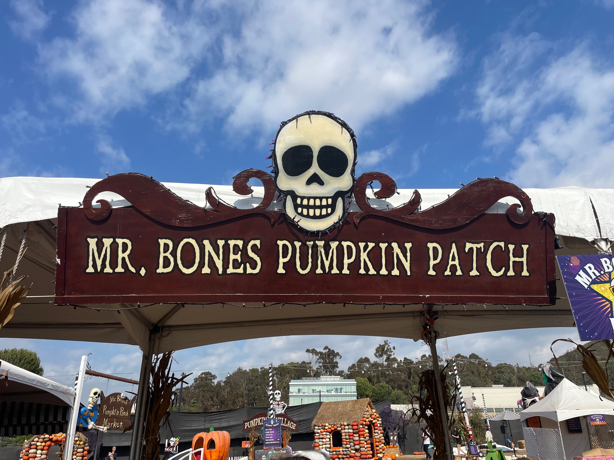 Pumpkin Patch Review: Mr. Bones – The Aging Bartender